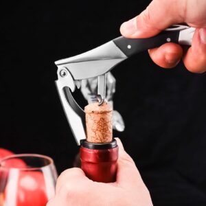 Corkscrew Bottle Opener, Stainless Steel Red Wine Opener Waiter Corkscrew Wine Openers with Foil Cutter for Bar, Restaurant, Parties Bartenders