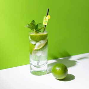 Nod Products Steel Straws with Engraved Recipes and Silicone Charms Strawtails, 8-inch Length, Set of 4, Mint Mojito