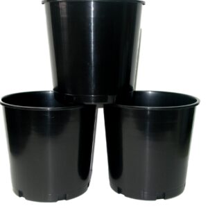 Black Offering, Donation, Ice Buckets, 176 Ounces, Pack 3