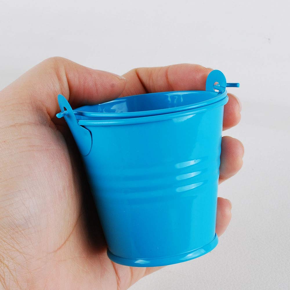 NWFashion 24PCS Mini 2 INCH Metal Tin Buckets Pails with Handles for Halloween Christmas Party Favor, Succulent Planting