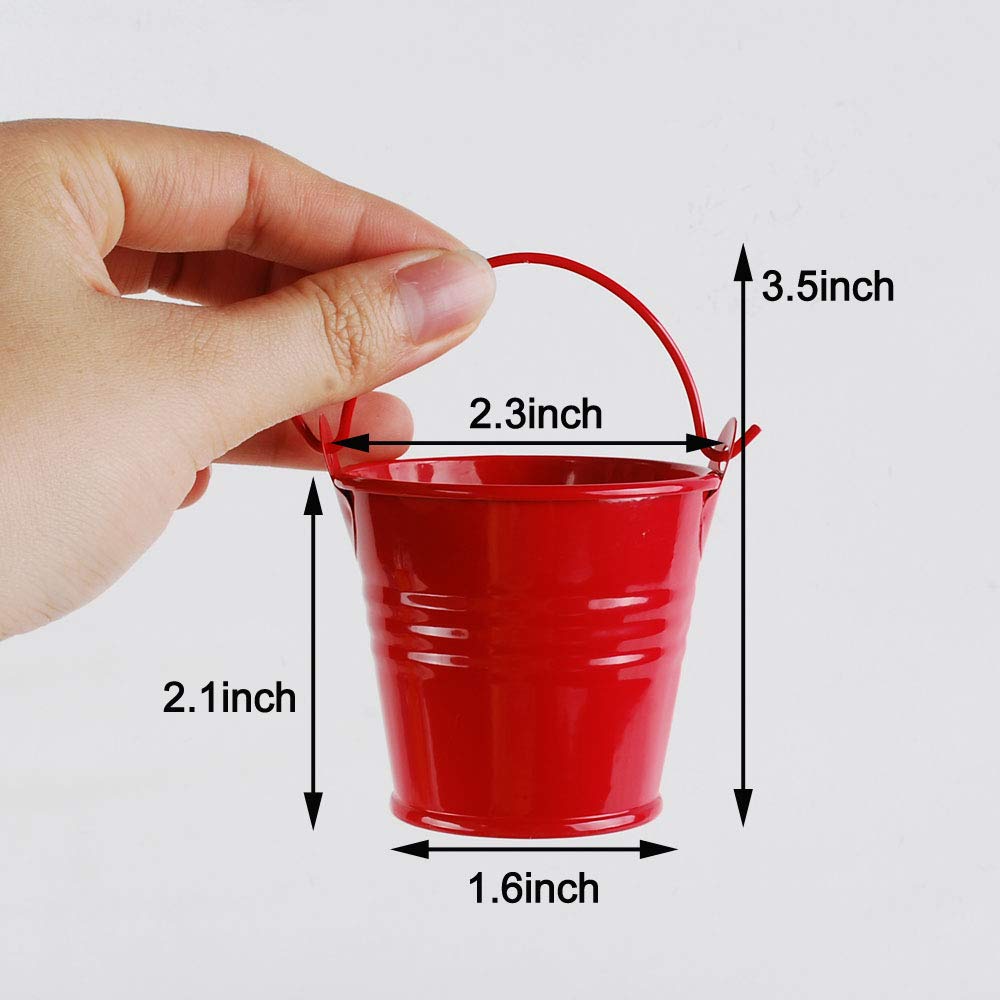 NWFashion 24PCS Mini 2 INCH Metal Tin Buckets Pails with Handles for Halloween Christmas Party Favor, Succulent Planting