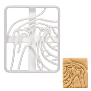 shoulder x-ray cookie cutter, 1 piece - bakerlogy