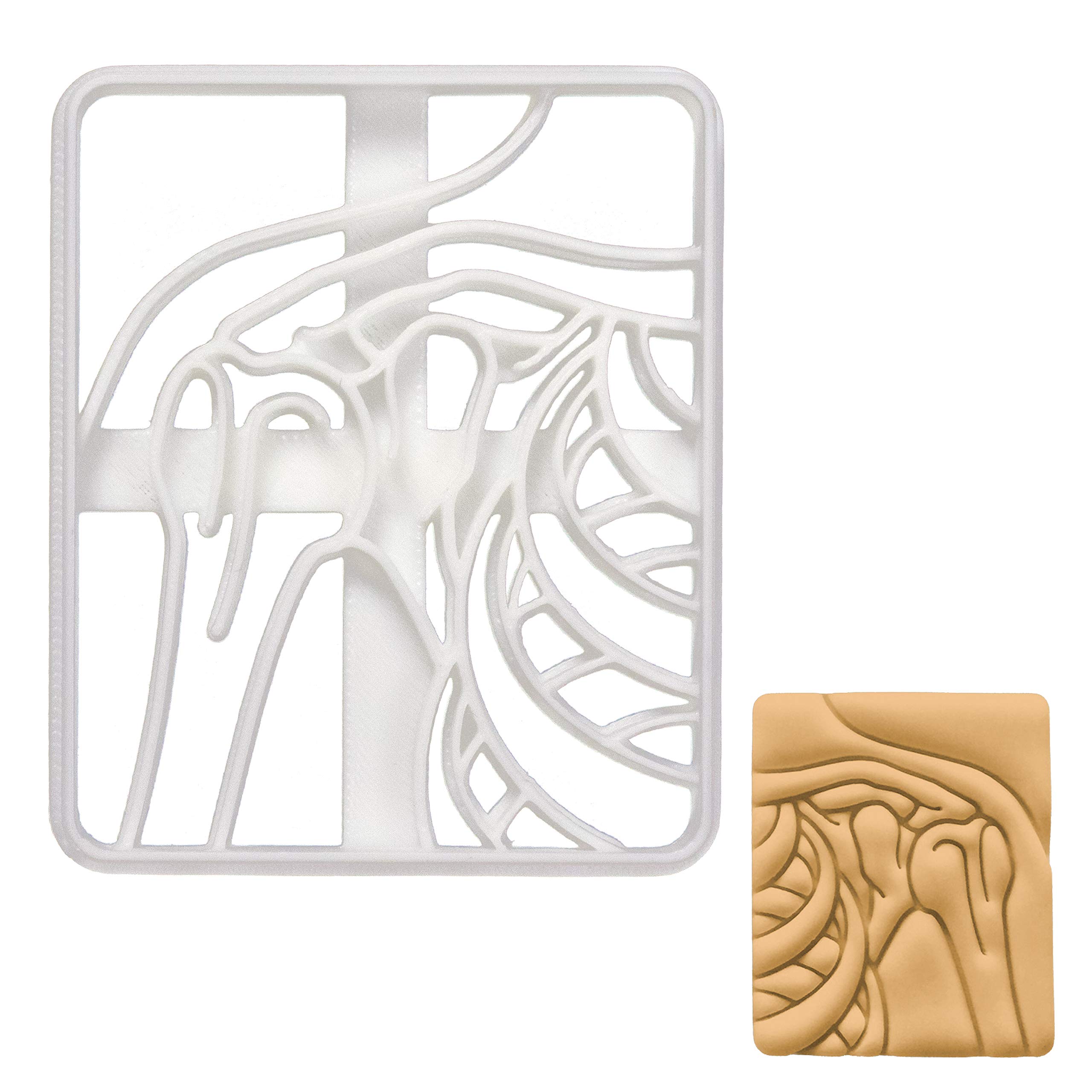 Shoulder X-Ray cookie cutter, 1 piece - Bakerlogy