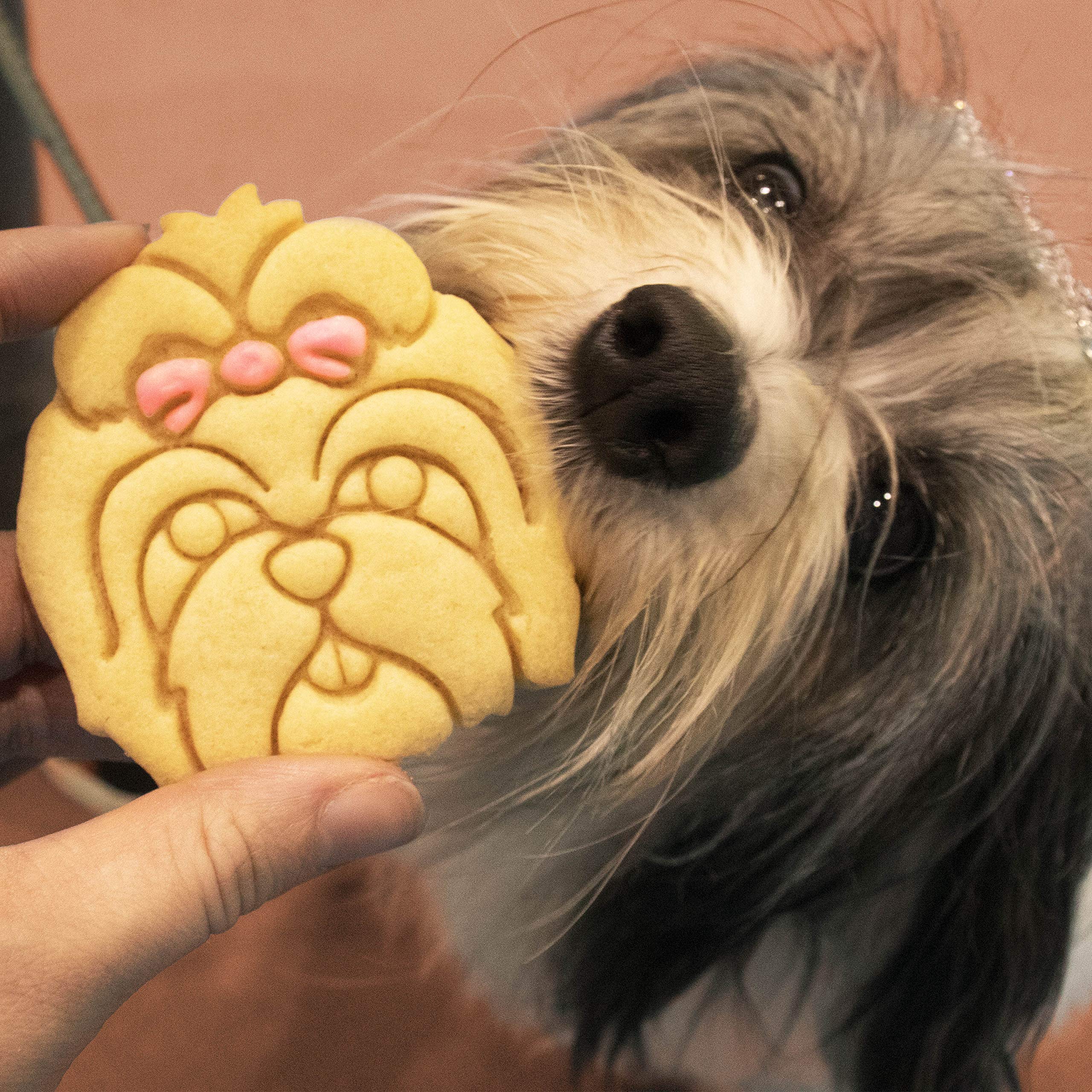 Set of 2 Shih Tzu cookie cutters (Designs: Body & Face), 2 pieces - Bakerlogy