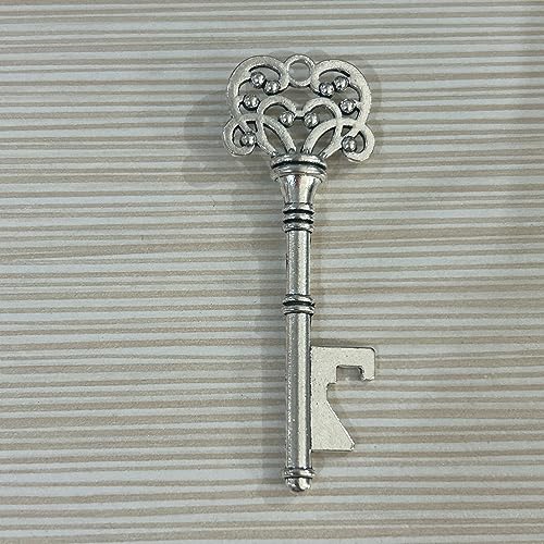 Toporchid Key Portable Bottle Opener Beer Bottle Can Opener Hangings Ring Keychain Tool(silver）