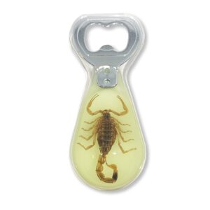 genuine golden scorpion in glow-in-the-dark lucite bottle opener refrigerator magnet (3.75"h)