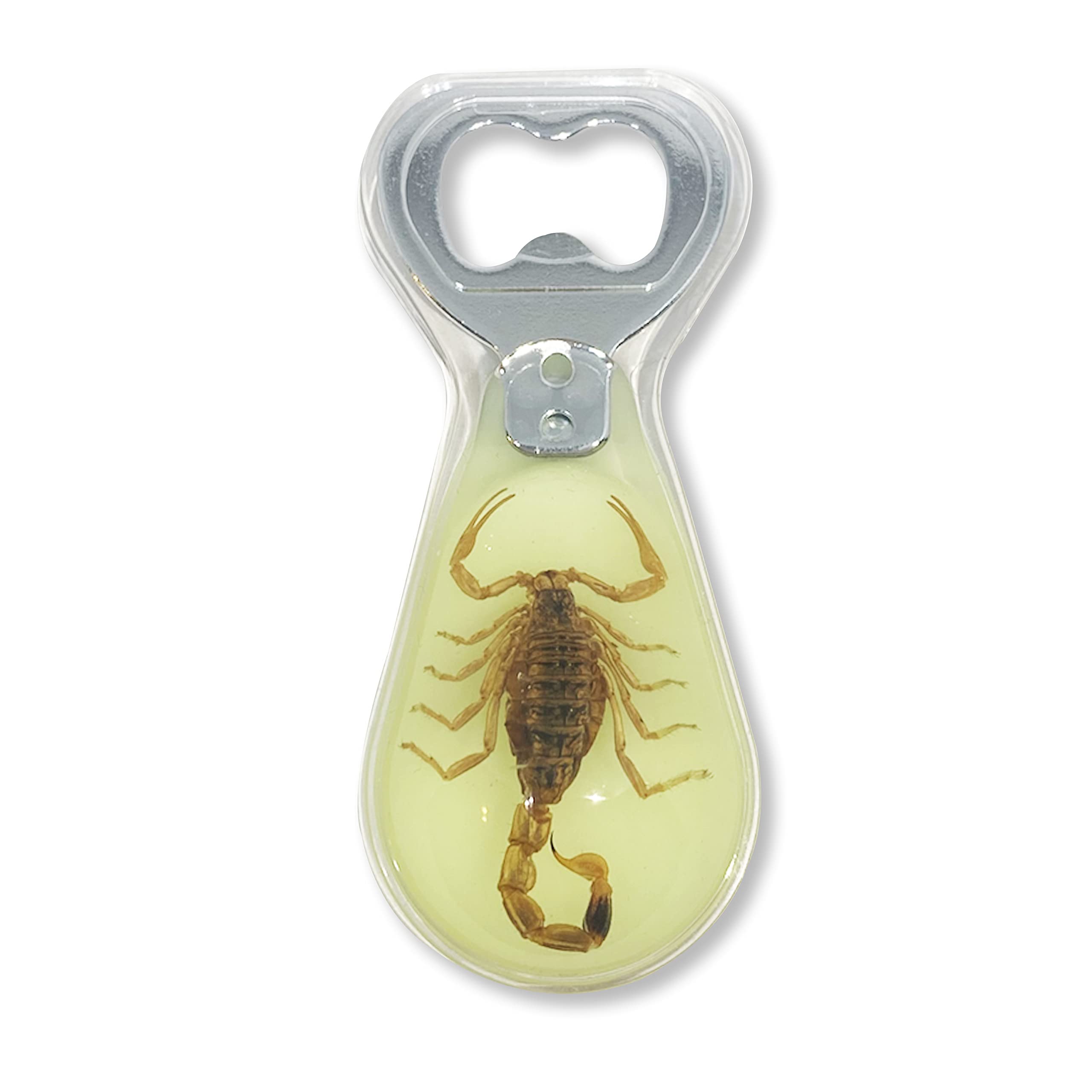 Genuine Golden Scorpion in Glow-in-The-Dark Lucite Bottle Opener Refrigerator Magnet (3.75"H)