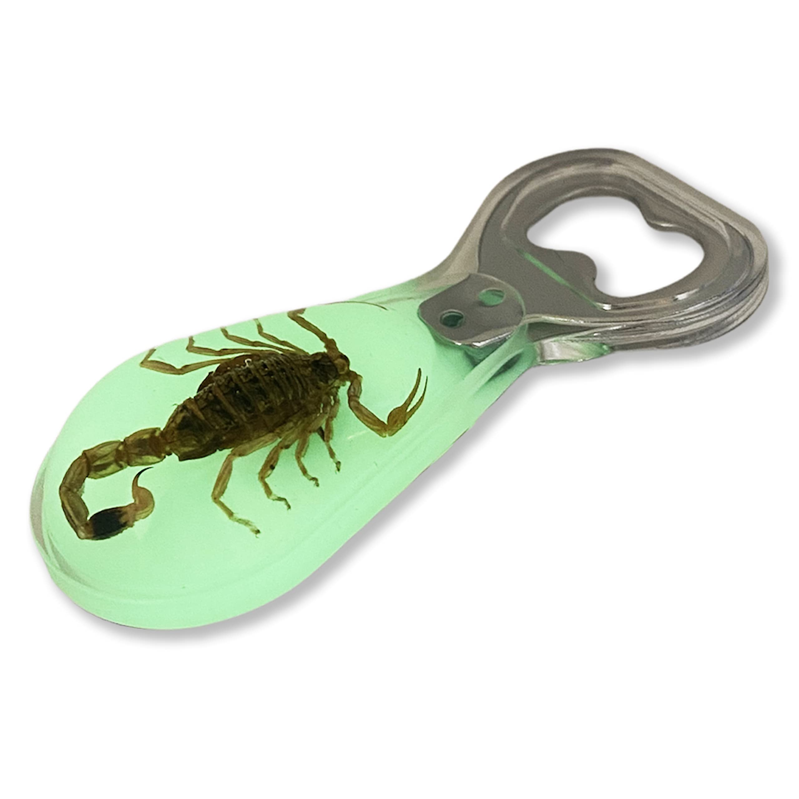 Genuine Golden Scorpion in Glow-in-The-Dark Lucite Bottle Opener Refrigerator Magnet (3.75"H)