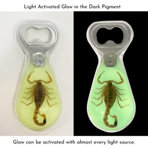 Genuine Golden Scorpion in Glow-in-The-Dark Lucite Bottle Opener Refrigerator Magnet (3.75"H)