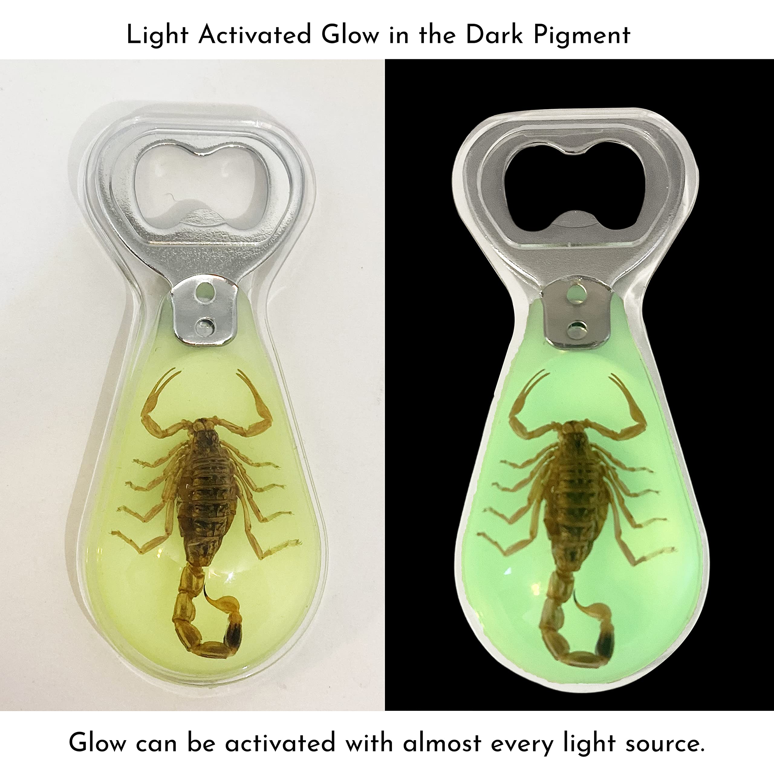 Genuine Golden Scorpion in Glow-in-The-Dark Lucite Bottle Opener Refrigerator Magnet (3.75"H)