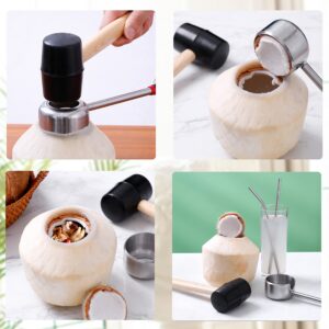 Coconut Opener Tool Set, Food Grade Stainless Steel Coco Opener Kit for Coconut Young & Mature, Coconut Shell Puncher Knife, Rubber Hammer with Wood Handle, Silicone Mat Shockproof