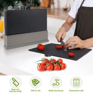 Almcmy Index Cutting Boards, 4-Pieces Plastic Cutting Board with Storage Stand, Chopping Boards with Food Icons & 1 Extra Scissors, BPA-Free, Dishwasher Safe, Cutting Boards for Kitchen, 12.6" X 8.6"