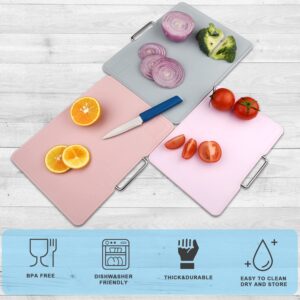 FIVETAS cutting boards for kitchen dishwasher safe,set of 3 with holder,plastic cutting boards with Easy-Grip Handles.GARLIC GRINDING AREA. BPA Free, Non-porous Non-Slip Feet