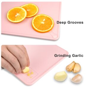 FIVETAS cutting boards for kitchen dishwasher safe,set of 3 with holder,plastic cutting boards with Easy-Grip Handles.GARLIC GRINDING AREA. BPA Free, Non-porous Non-Slip Feet