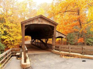 fall autumn leave covered bridge kitchen glass cutting board country decorative gift design