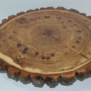 Lazy Susan Hand Crafted with Log Slices with Bark Turn Table