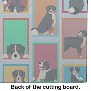 Caroline's Treasures MLM1087LCB Lots of Bernese Mountain Dog Glass Cutting Board Large Decorative Tempered Glass Kitchen Cutting and Serving Board Large Size Chopping Board