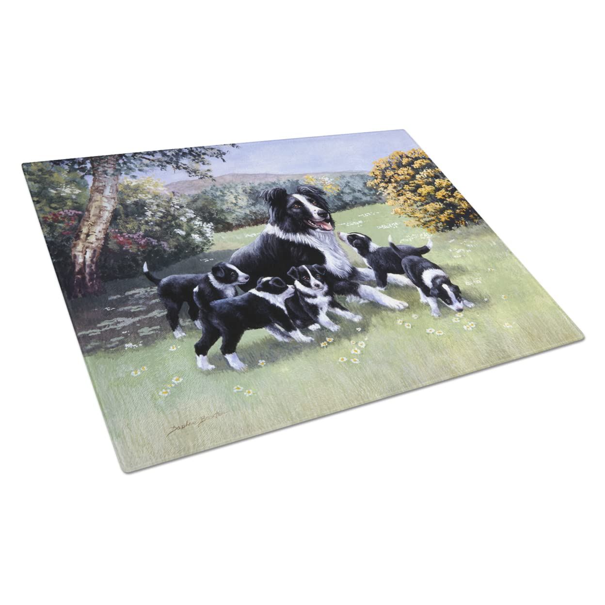 Caroline's Treasures BDBA0257LCB Border Collie Puppies with Momma Glass Cutting Board Large Decorative Tempered Glass Kitchen Cutting and Serving Board Large Size Chopping Board