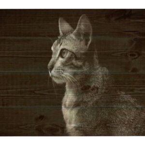 Tempered Glass Cutting Board side view cats potrait in black and white high contrast low key Tableware Kitchen Decorative Cutting Board with Non-slip Legs, Serving Board, Large Size, 15" x 11"