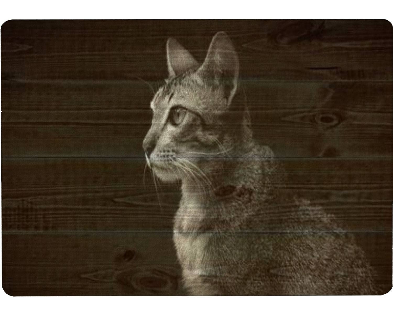 Tempered Glass Cutting Board side view cats potrait in black and white high contrast low key Tableware Kitchen Decorative Cutting Board with Non-slip Legs, Serving Board, Large Size, 15" x 11"