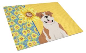 caroline's treasures wdk5415lcb summer sunflowers red english bulldog glass cutting board large decorative tempered glass kitchen cutting and serving board large size chopping board