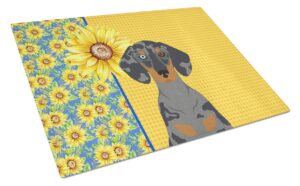 caroline's treasures wdk5394lcb summer sunflowers black dapple dachshund glass cutting board large decorative tempered glass kitchen cutting and serving board large size chopping board