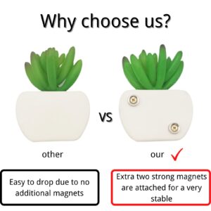 TIYGHI Fridge Magnets Artificial Hanging Plants Refrigerator Magnets Fake Succulents Whiteboard Magnet Strong Magnetic Fridge Decoration Magnet Cabinet for Home Kitchen Decoration (A)