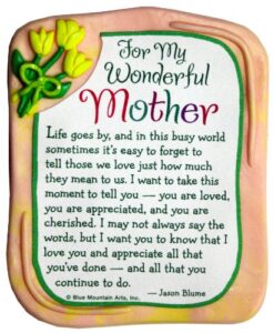 blue mountain arts mother refrigerator magnet—a message of love and appreciation for your mom (for my wonderful mother) small