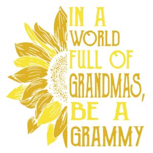 in A World Full of Grandmas Be Grammy 4.0 inch Refrigerator Magnets – Funny Magnets for Fridge Dishwasher, Whiteboard, Toolbox or Car and Truck PM879