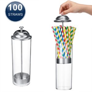 Plastic Straw Dispenser 100 Pcs Drinking Straw Organizer Container with Stainless Steel Lid Transparent Drinking Straw Holder Disposable Drinking Striped Paper Straws