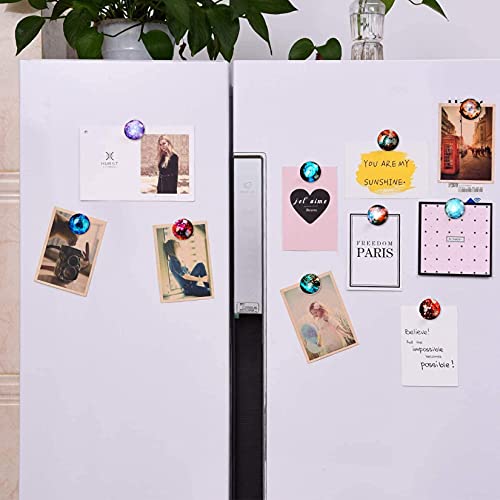 FINDMAG 24 Pack Refrigerator Magnets Decorative, Whiteboard Magnets, Glass 3D Cute Fridge Magnets, Small Magnets for Fridge, Office, Home, Kitchen, Cabinet, Whiteboard, Photo, Message, Gift