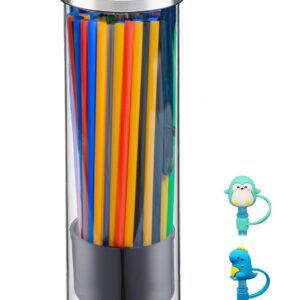 Straw Holder Dispenser for Counter - Clear Glass Drinking Straw Container with Lid - 2 Straw Covers and 35 PCS Straws include by BIGINIWA