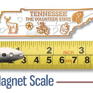 Tennessee Small State Magnet by Classic Magnets, 3.5" x 1", Collectible Souvenirs Made in The USA