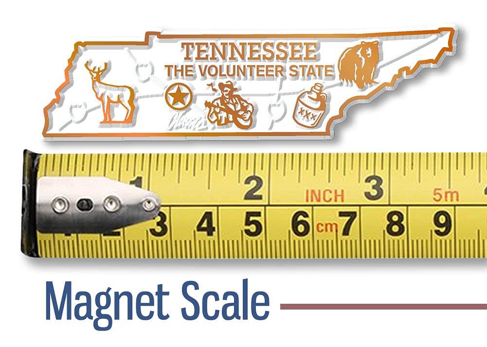 Tennessee Small State Magnet by Classic Magnets, 3.5" x 1", Collectible Souvenirs Made in The USA