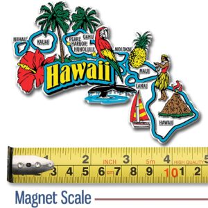 Hawaii Jumbo State Magnet by Classic Magnets, 4.7" x 3.6", Collectible Souvenirs Made in The USA