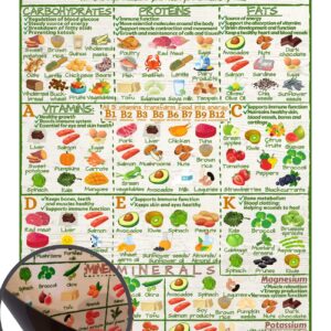 Healthy Food Chart Guide - Informative Nutrition Vitamins Minerals Magnetic Fridge Chart - Stylish Colourful Water Resistant Kitchen Guide Magnet