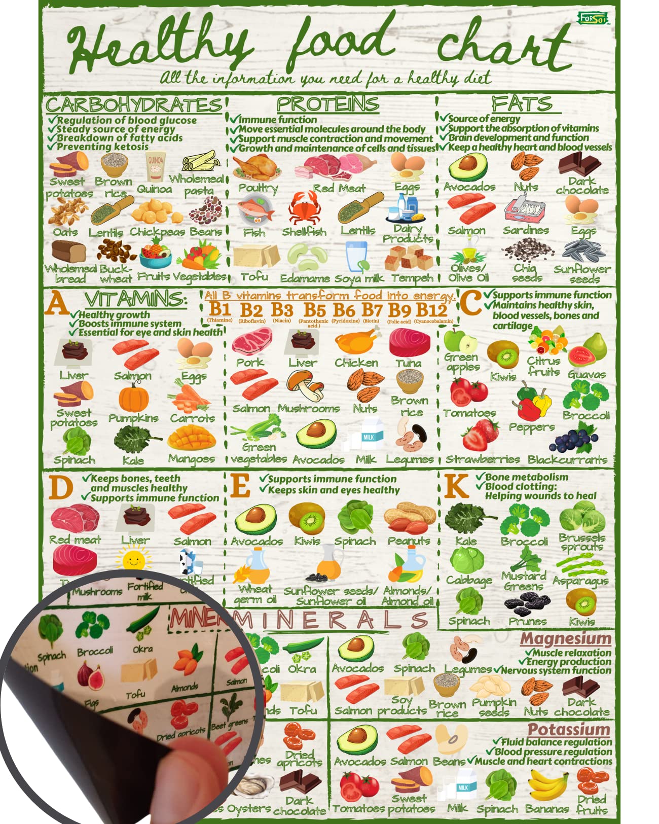 Healthy Food Chart Guide - Informative Nutrition Vitamins Minerals Magnetic Fridge Chart - Stylish Colourful Water Resistant Kitchen Guide Magnet