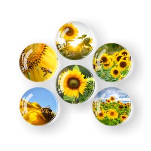 sunflower glass fridge magnets, pretty refrigerator magnets for kitchen school office cabinet refrigerator whiteboard photo 6pcs