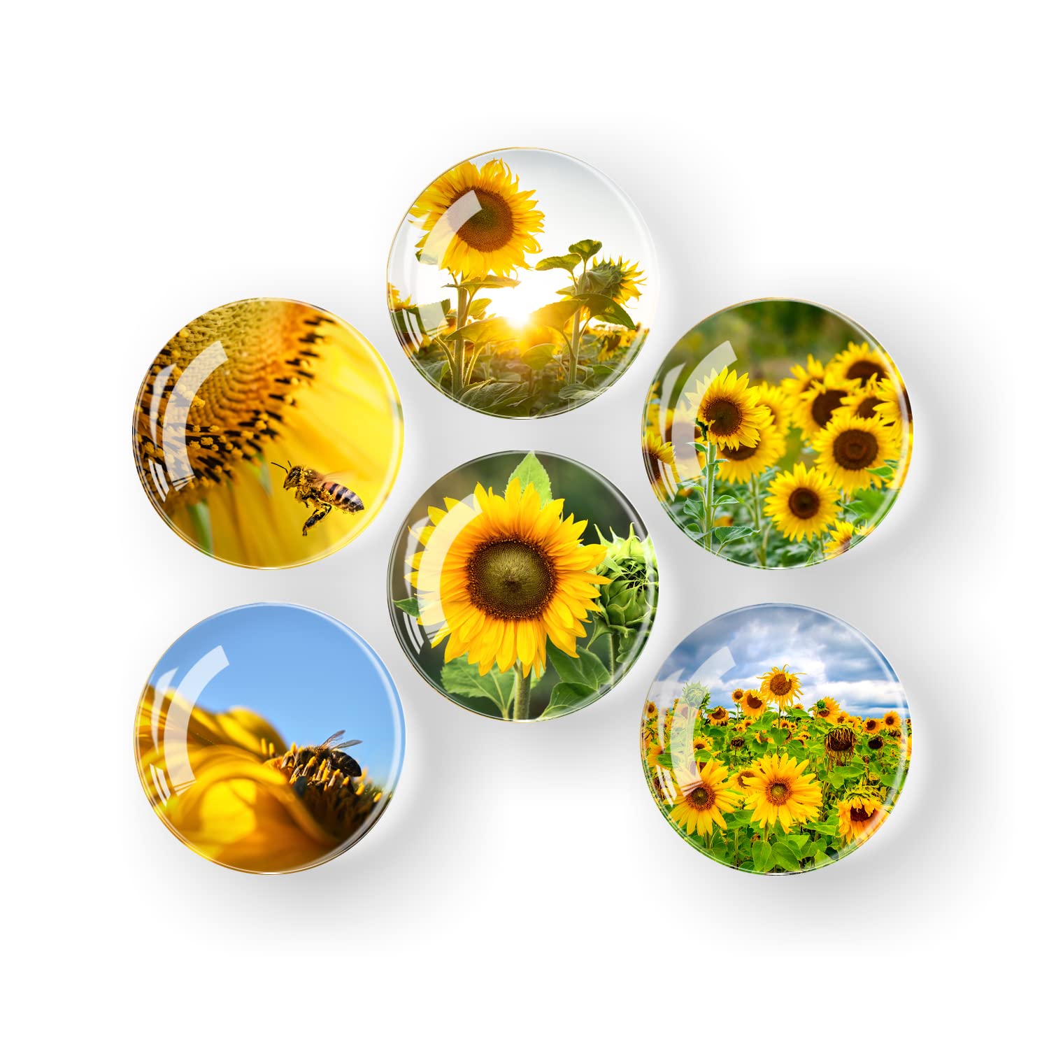 Sunflower Glass Fridge Magnets, Pretty Refrigerator Magnets for Kitchen School Office Cabinet Refrigerator Whiteboard Photo 6pcs