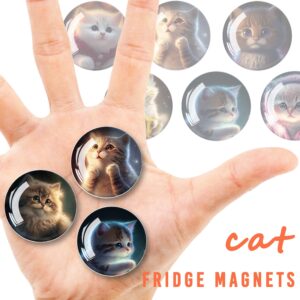 RIMULAplus Cute Refrigerator Magnets for Fridge, Decorative Fridge Magnets Cute, Small Glass Cat Magnets for Whiteboard Office Kitchen