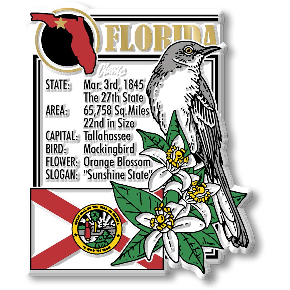 Florida Six-Piece State Magnet Set by Classic Magnets, Includes 6 Unique Designs, Collectible Souvenirs Made in The USA