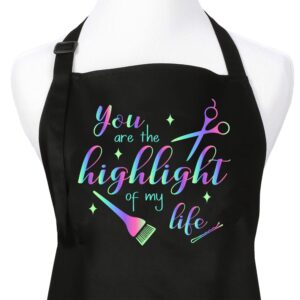 plum hill you are the highlight of my life colorful screen printed hair stylist bib apron for professional salons or home hair cutting, long ties adjustable neck with pockets, candy coating