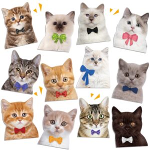 12 pcs fun cat refrigerator magnets cute fridge magnets decorative funny cat fridge magnets reusable magnetic bumper sticker flexible for kitchen locker car home whiteboard office