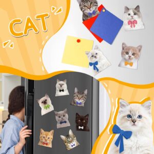 12 Pcs Fun Cat Refrigerator Magnets Cute Fridge Magnets Decorative Funny Cat Fridge Magnets Reusable Magnetic Bumper Sticker Flexible for Kitchen Locker Car Home Whiteboard Office