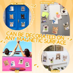 12 Pcs Fun Cat Refrigerator Magnets Cute Fridge Magnets Decorative Funny Cat Fridge Magnets Reusable Magnetic Bumper Sticker Flexible for Kitchen Locker Car Home Whiteboard Office