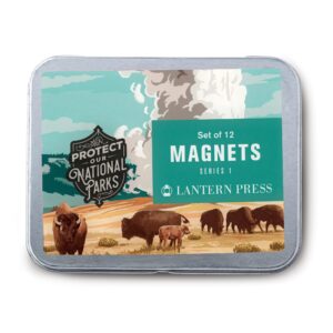 lantern press protect our national parks magnets set of 12, series 1 - west