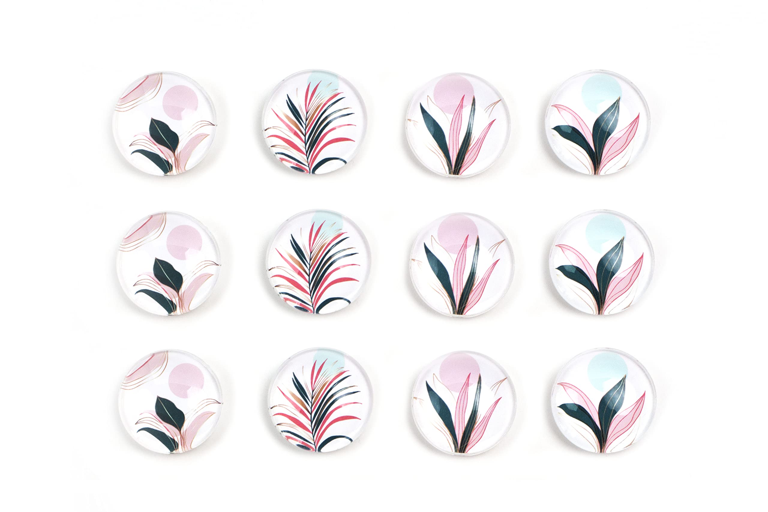 12 Pack Multicolor Plant Fridge Magnet Set, Strong Refrigerator Magnets for Whiteboard, Cute Magnets for Lockers, Neodymium Magnet Backing