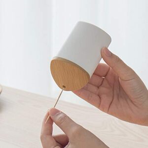 Plastic Toothpick Holder,Toothpicks holder with Bamboo Lid Simple Desktop Toothpicks Dispenser Jar Box for Home Restaurant Hotel