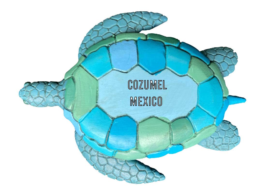 Cozumel Mexico Souvenir Hand Painted Resin Refrigerator Magnet Sunset and Green Turtle Design 3-Inch Approximately