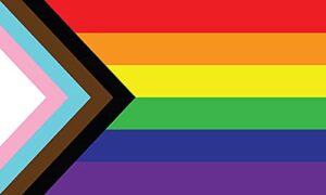 imagine signs | progress pride flag car magnet | 5" x 3"